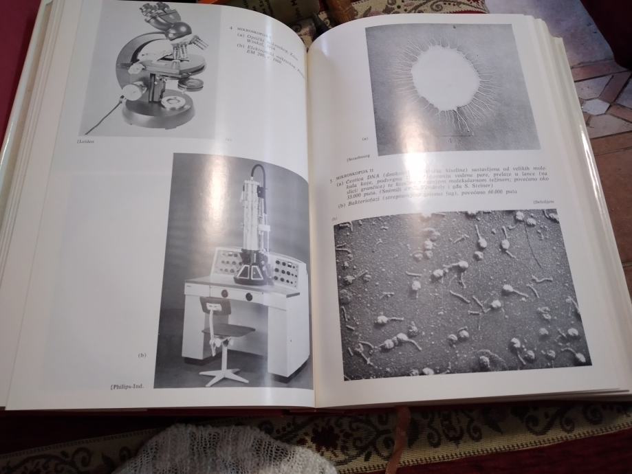 DVADESETO STOLJEĆE CAROLINE F. WARE K.M., NAPRIJED ZG 1969