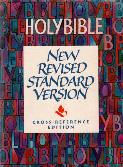Holy Bible: New Revised Standard Version Bible (Bible Nrsv)