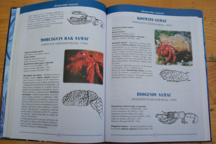 JADRANSKI RAKOVI DESETERONOŠCI - Neven Milišić