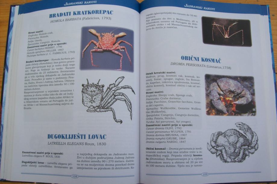 JADRANSKI RAKOVI DESETERONOŠCI - Neven Milišić