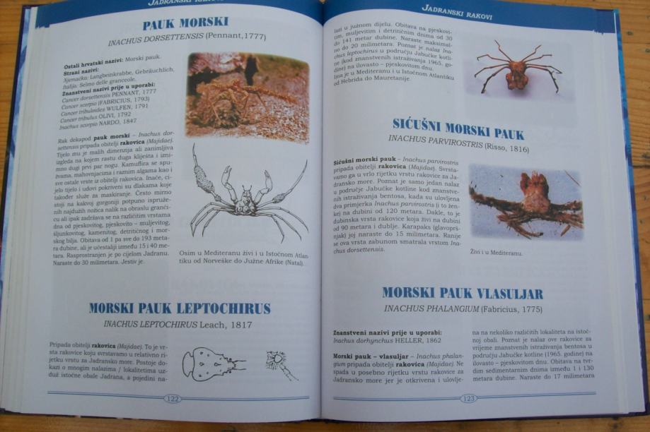 JADRANSKI RAKOVI DESETERONOŠCI - Neven Milišić