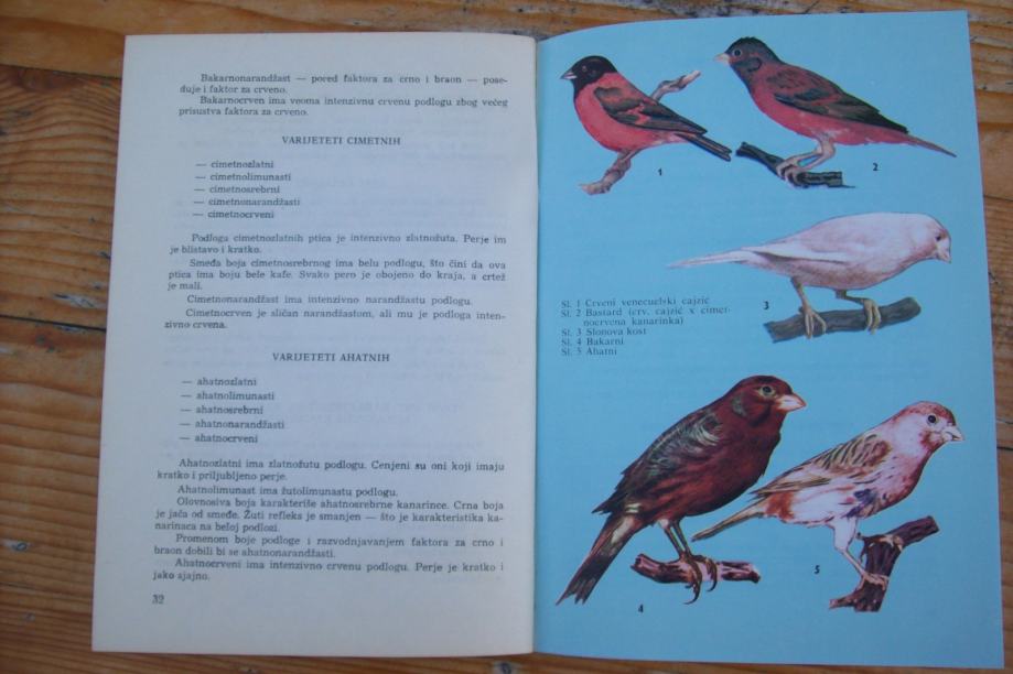 KANARINCI, ŠUMSKE PEVAĆICE I PAPAGAJI - Inž. Bora Vasić