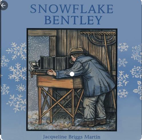 Martin, Jacqueline Briggs: Snowflake Bentley