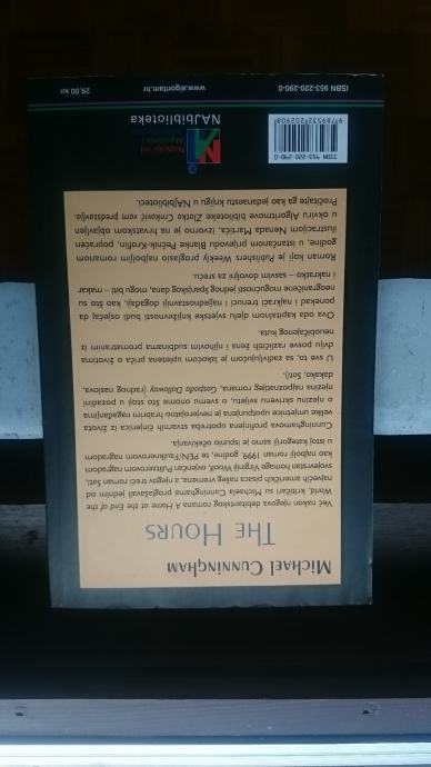 MICHAEL CUNNINGHAM- SATI