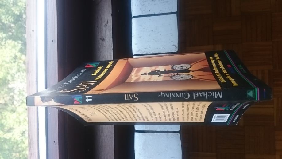 MICHAEL CUNNINGHAM- SATI