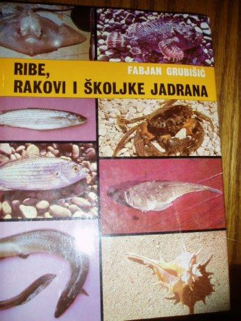 RIBE, RAKOVI I ŠKOLJKE JADRANA FABJAN GRUBIŠIĆ