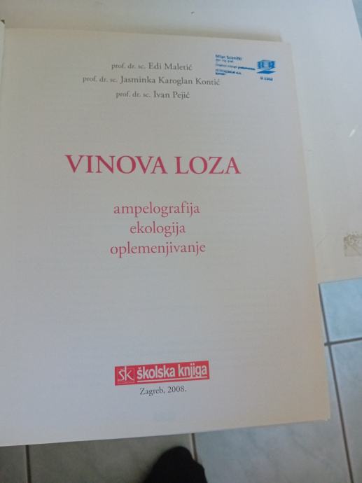 vinova loza pejic