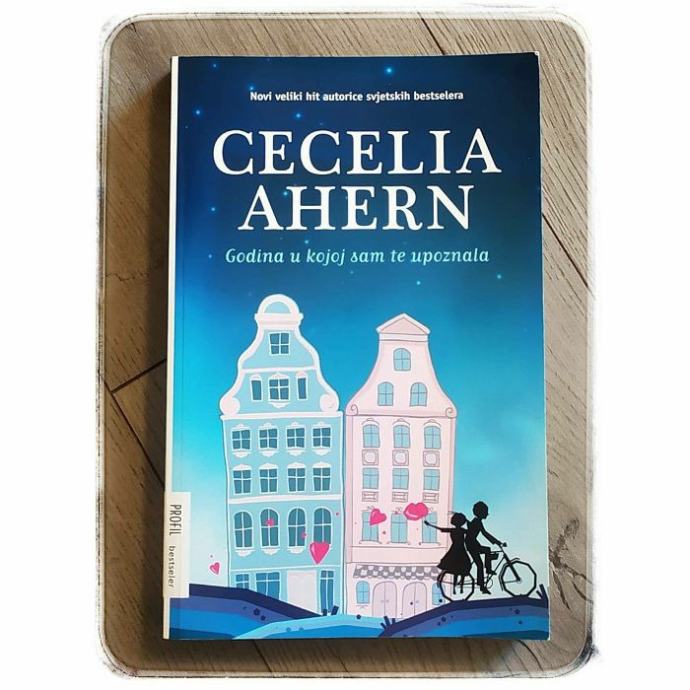 Godina u kojoj sam te upoznala Cecelia Ahern