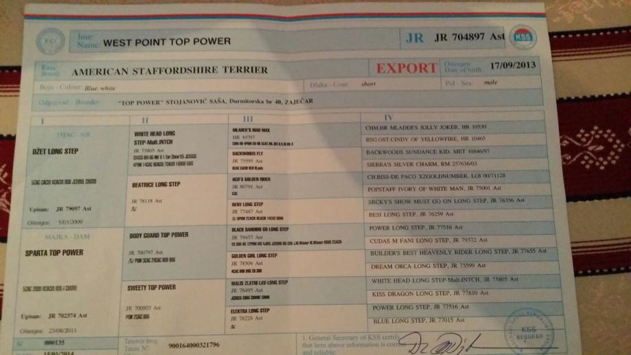 AMERIČKI STAFORD TERIJER ZA PARENJE