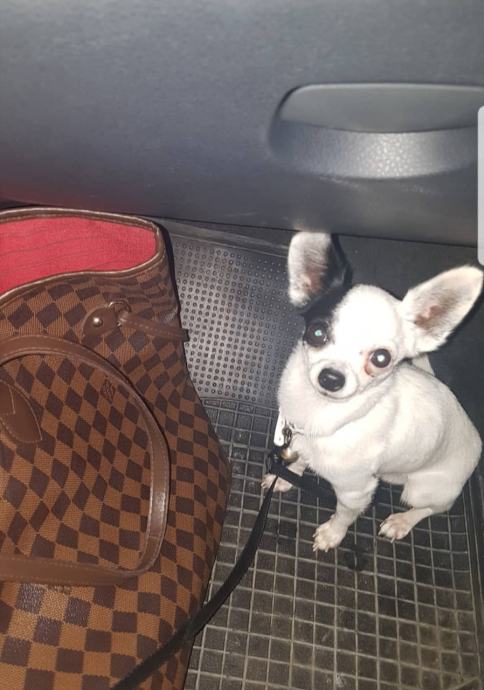 Chivava Mužijak Extra Mini