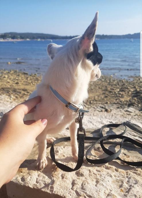 Chivava Mužijak Extra Mini