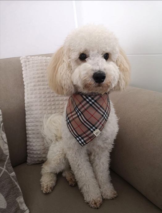 Mini pudla za parenje