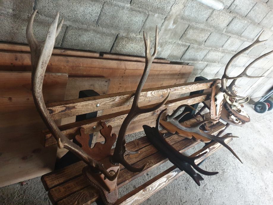 Rogovi od jelena, jelenski rogovi