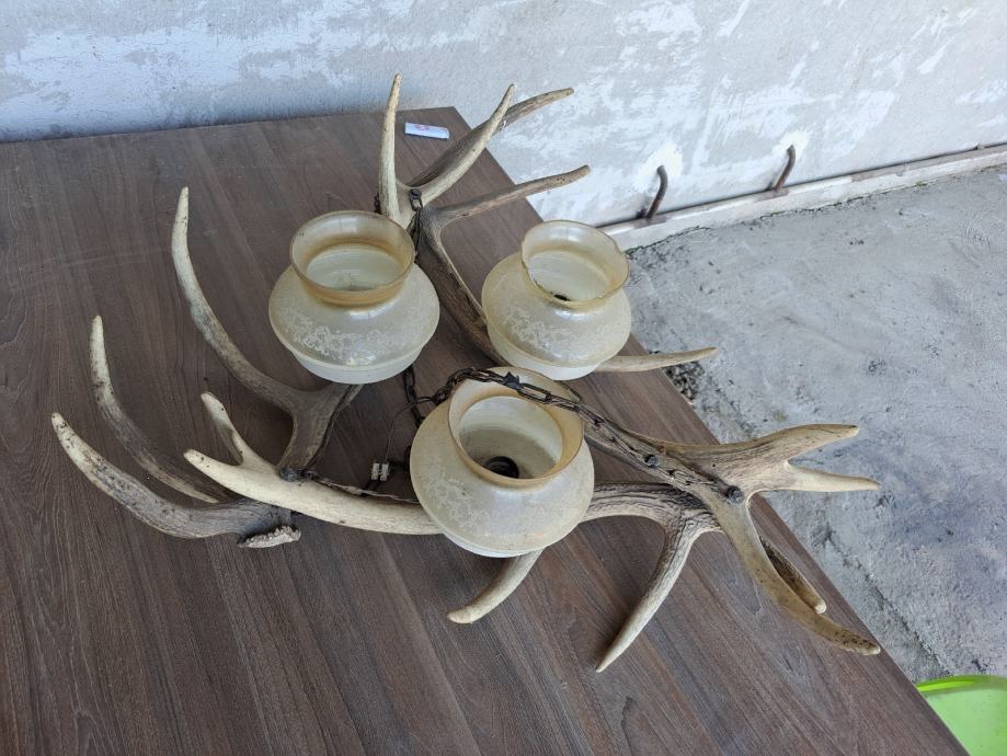 Luster jelenski rogovi