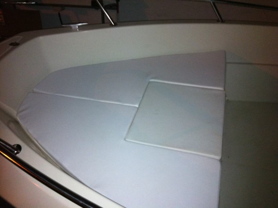 ELAN GT 495F + EVINRUDE 50 KS + registrirana prikolica