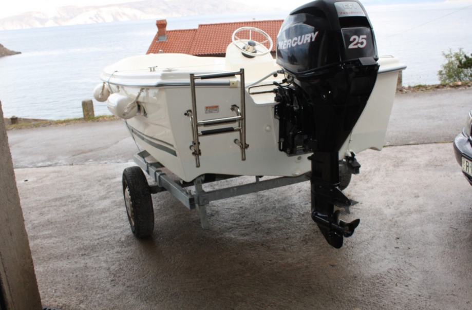 QUICKSILVER 440 FISH