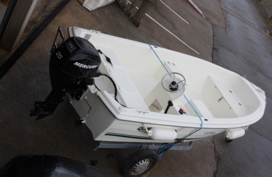 QUICKSILVER 440 FISH