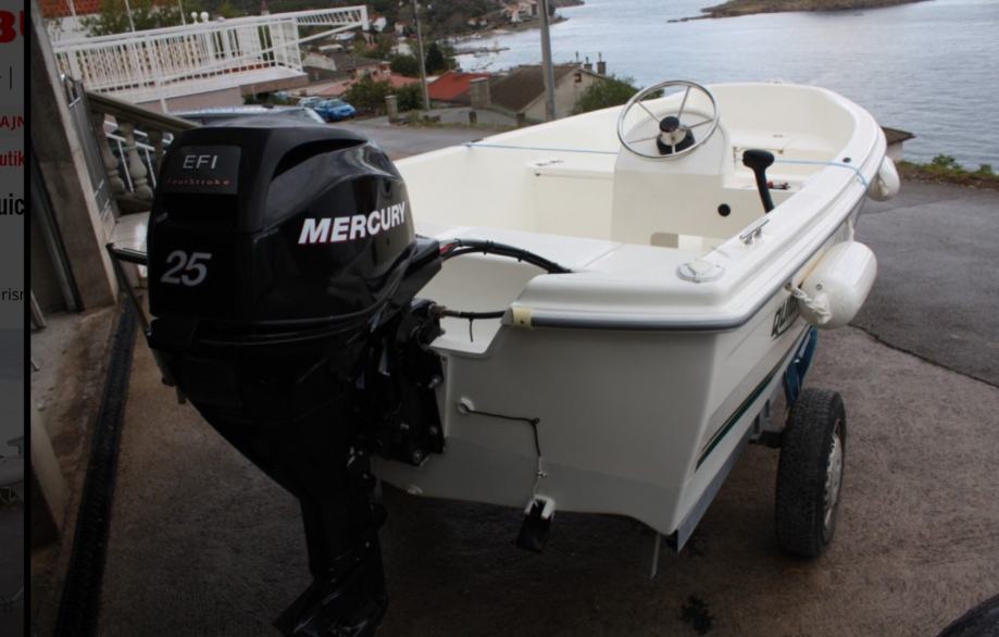 QUICKSILVER 440 FISH