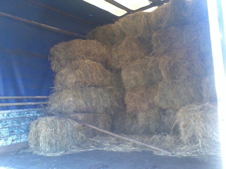 Mercedes lp 709 PRODAJEM ILI MJENJAM, 1979 god.