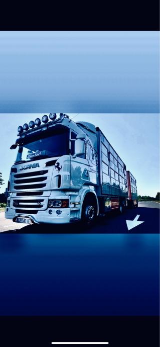 Scania R 560 stocar, 2012 god.