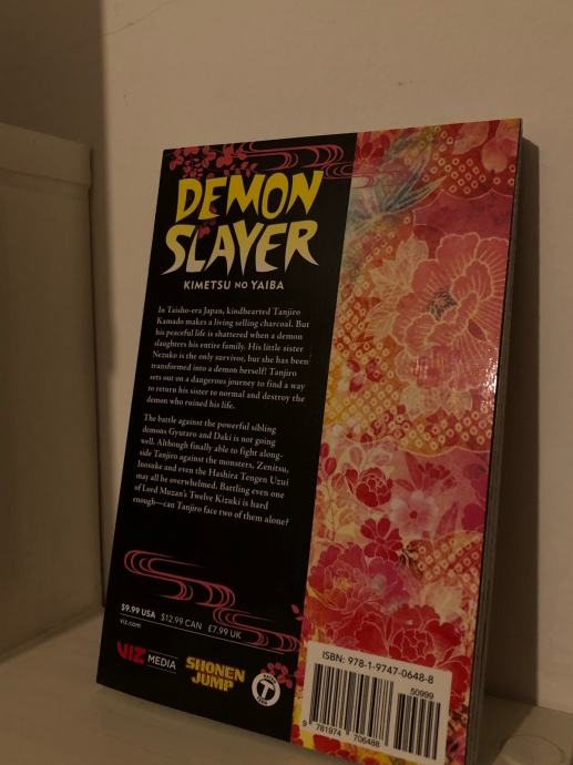 Manga Demon Slayer ( Kimetsu no Yaiba ) vol. 11