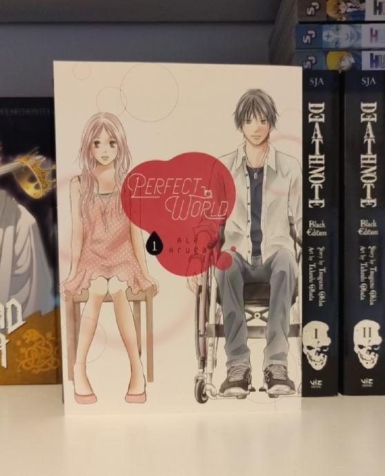 Perfect World - Rie Aruga