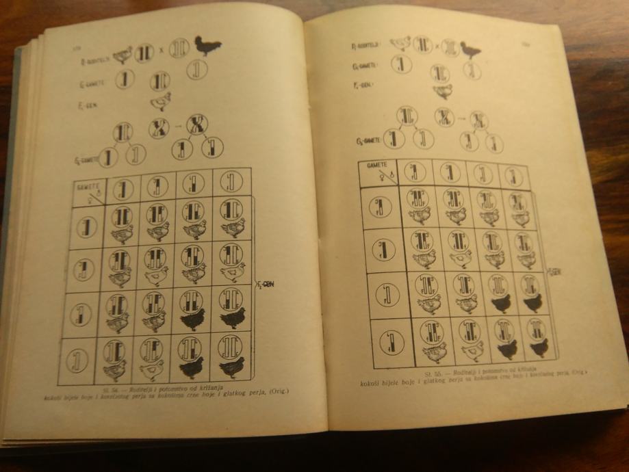 alois tavčar OSNOVE GENETIKE, školska knjiga Zagreb 1952