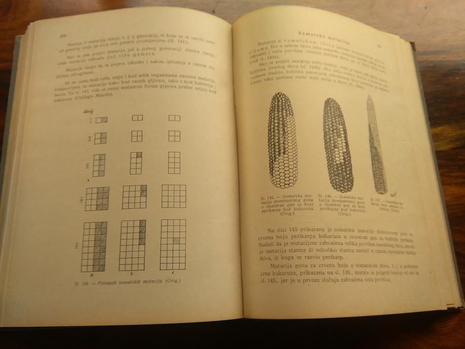 alois tavčar OSNOVE GENETIKE, školska knjiga Zagreb 1952