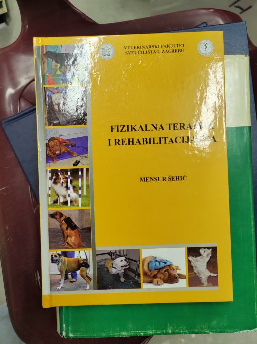 Fizikalna terapija i rehabilitacija pasa