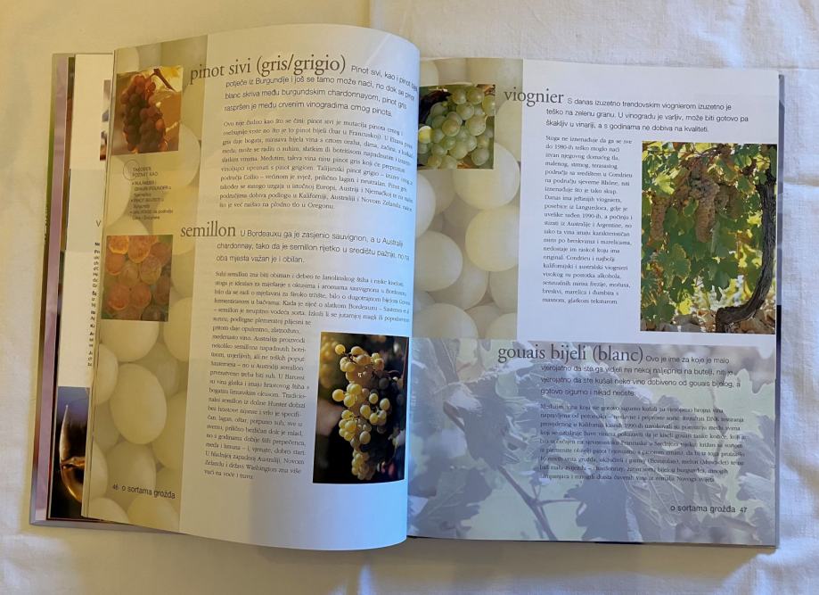 Joanna Simon - Velika knjiga o vinu #2