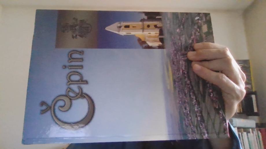 MONOGRAFIJA - ČEPIN 2009.