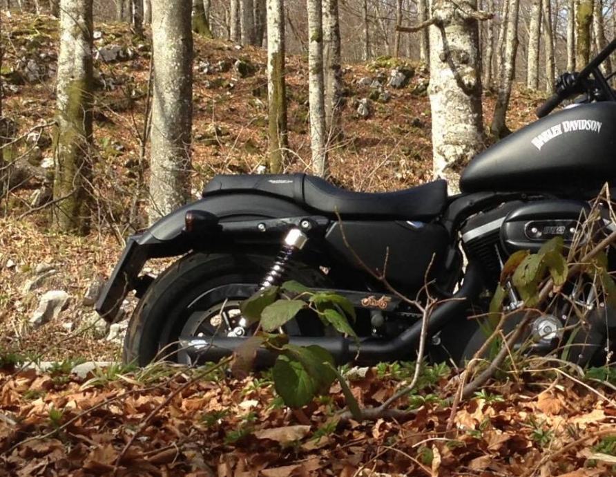 Badlander - dupli sic za Harley Davidson sportster modele