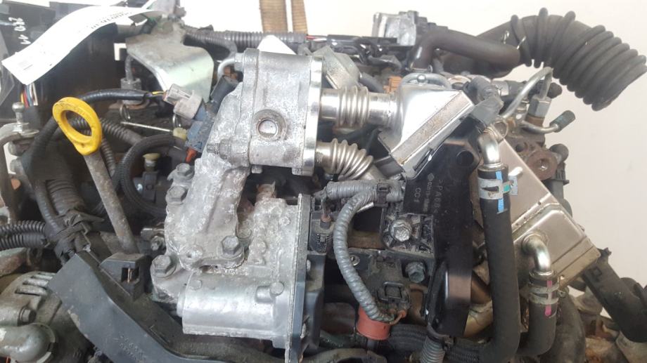 EGR TOYOTA YARIS > 09-11 1ND-TV 2580033011