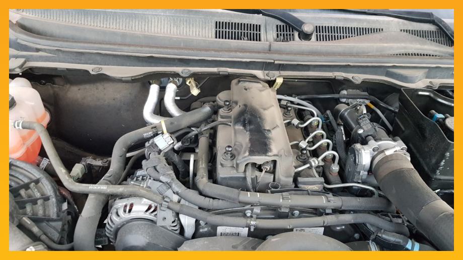 Motor FORD RANGER 2.2 TDCi > QJ2W