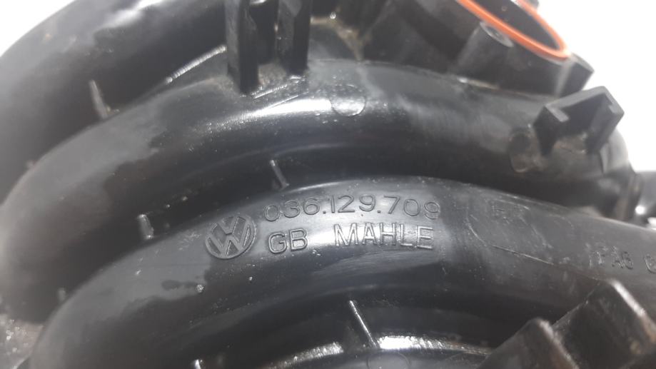 USISNA GRANA VW GOLF 6 > 08-12 036129709