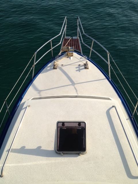 adriatik 790