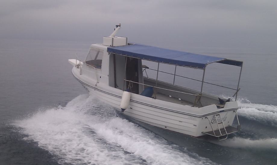 adria 800