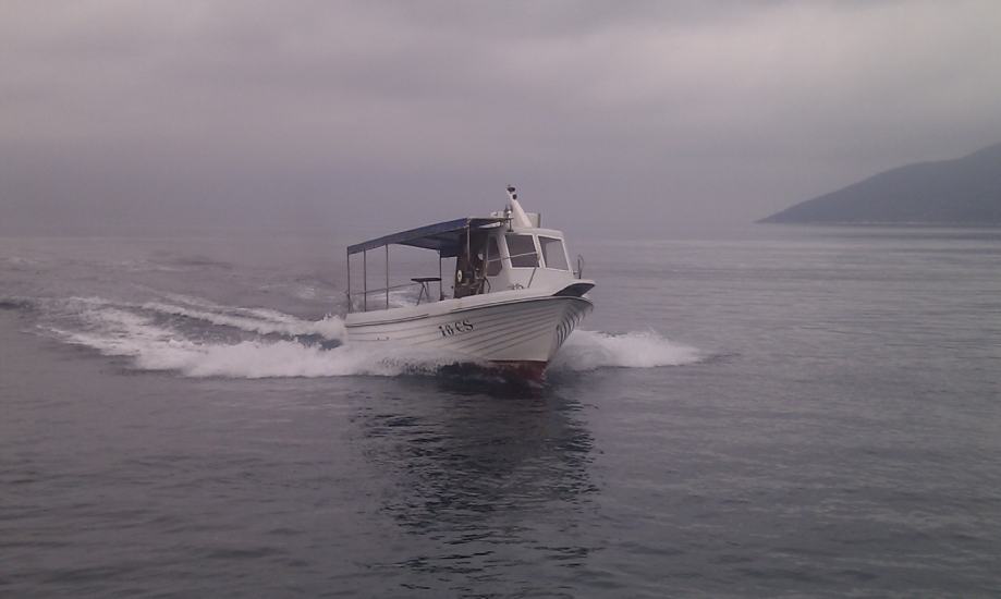 adria 800
