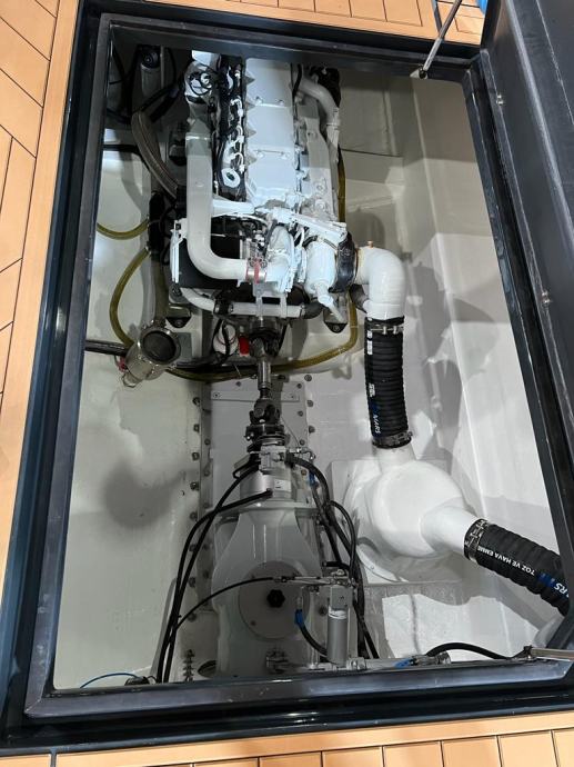 Alesta marine Raptor