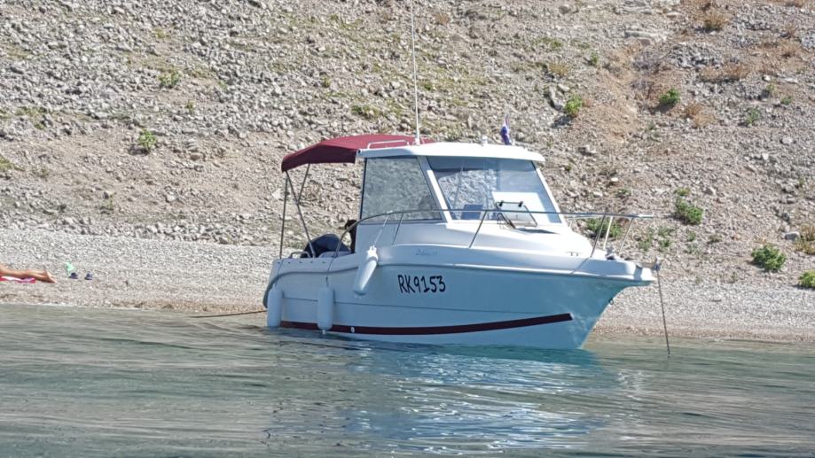Arkos dolphin 21