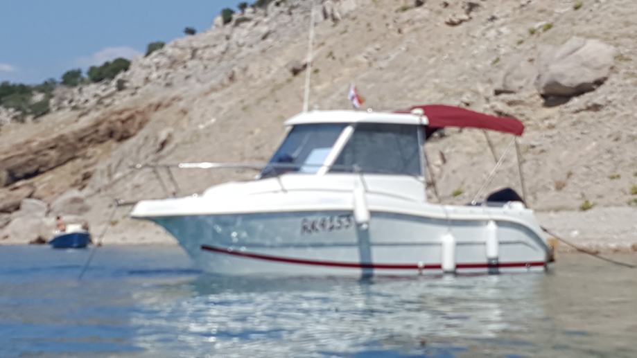 Arkos dolphin 21