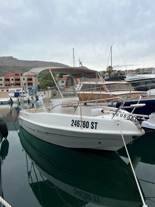 BLUELINE 19 & HONDA BF100A