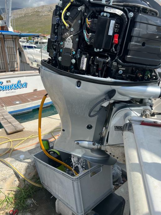 BLUELINE 19 & HONDA BF100A