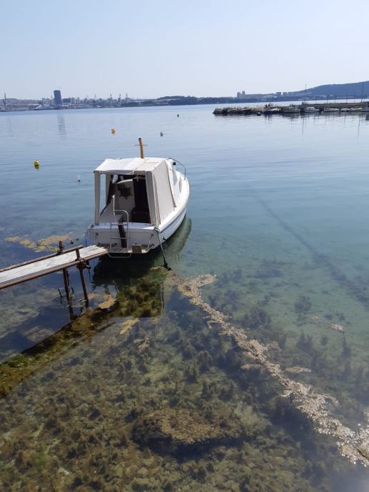 Brod Gradac - Pasara