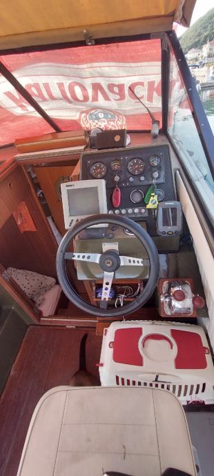 Coronet 26 family sport