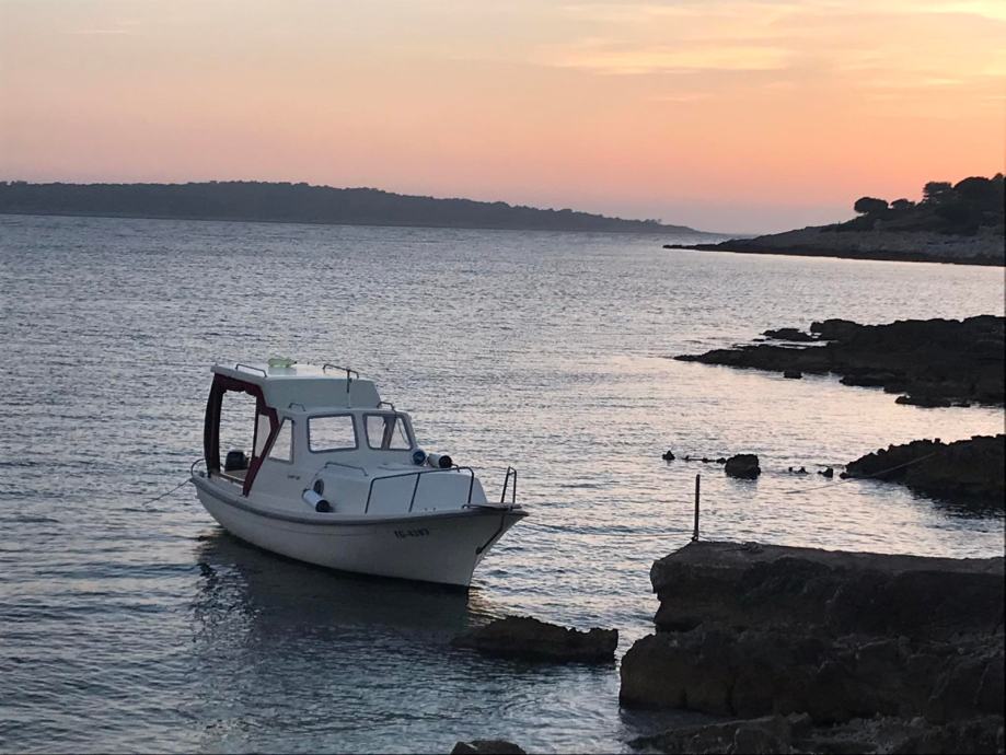 Damor 580 - Tohatsu 9,8 ks 4 t