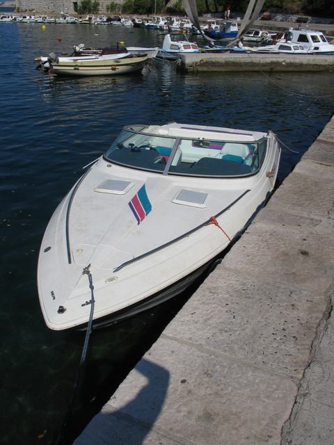 Formula 252 LS