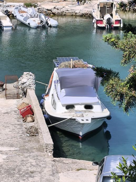 Greben Korčula - pasara