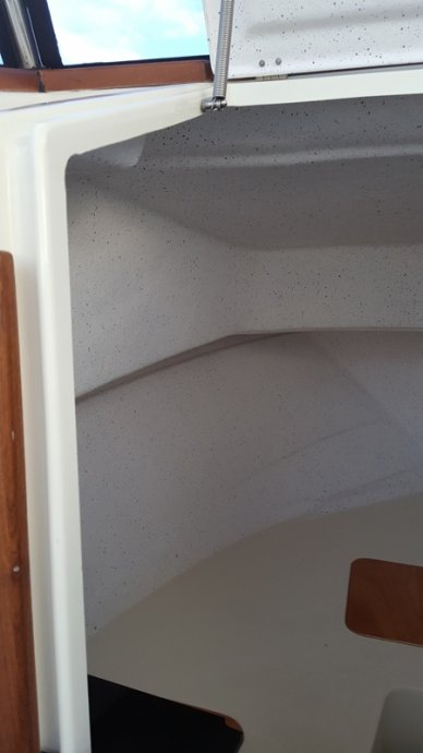 Kuster 550 cabin, 2017.g.