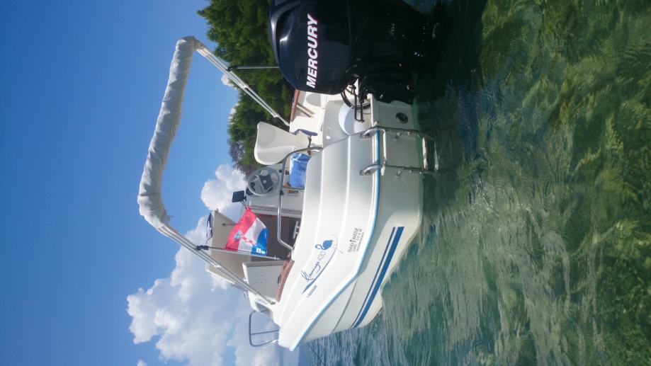 Quicksilver+Mercury 60 ELPT EFI